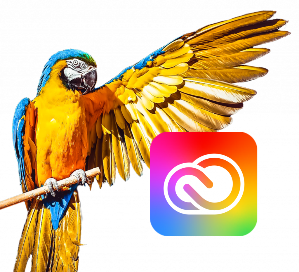 Grafikdesign - Erstellen Sie Jetzt Ihren Pefekten Design!